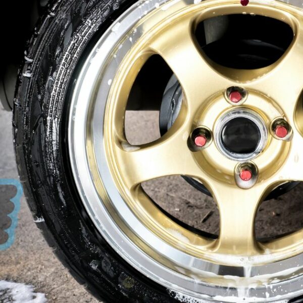 How to Remove Algae and Mould From Car