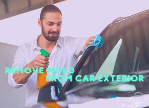 How to Remove Mold From Car Exterior Effectively!
