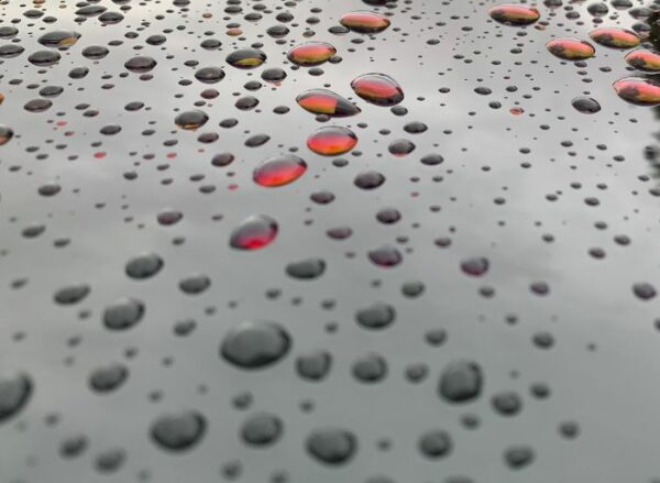 Does Ceramic Coating Prevent Water Spots? [Explained]